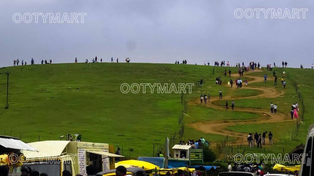 Top Shooting Point 9th Mile in Ooty: Scenic Spots for Perfect Shots ...